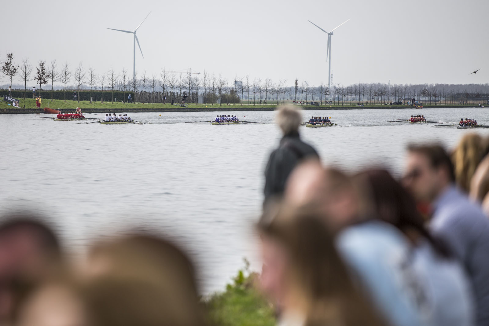 Foto’s: Roeien en naaktzwemmen tijdens 135e editie Varsity | De ...