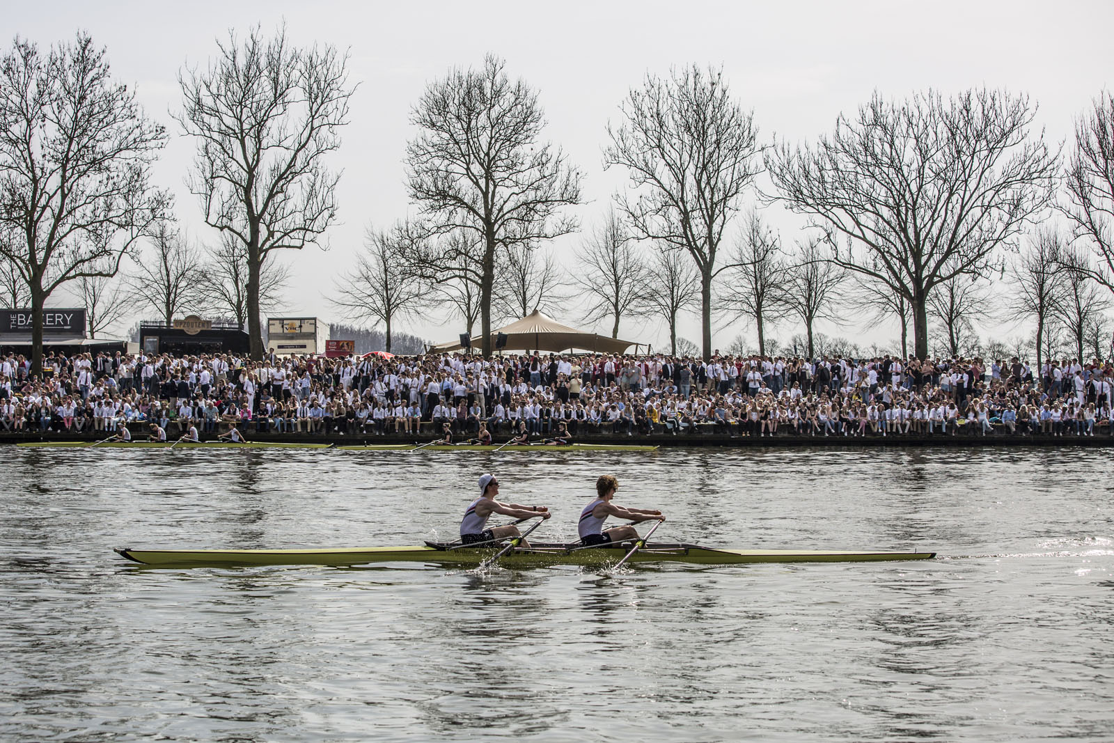 Foto’s: Roeien en naaktzwemmen tijdens 135e editie Varsity | De ...