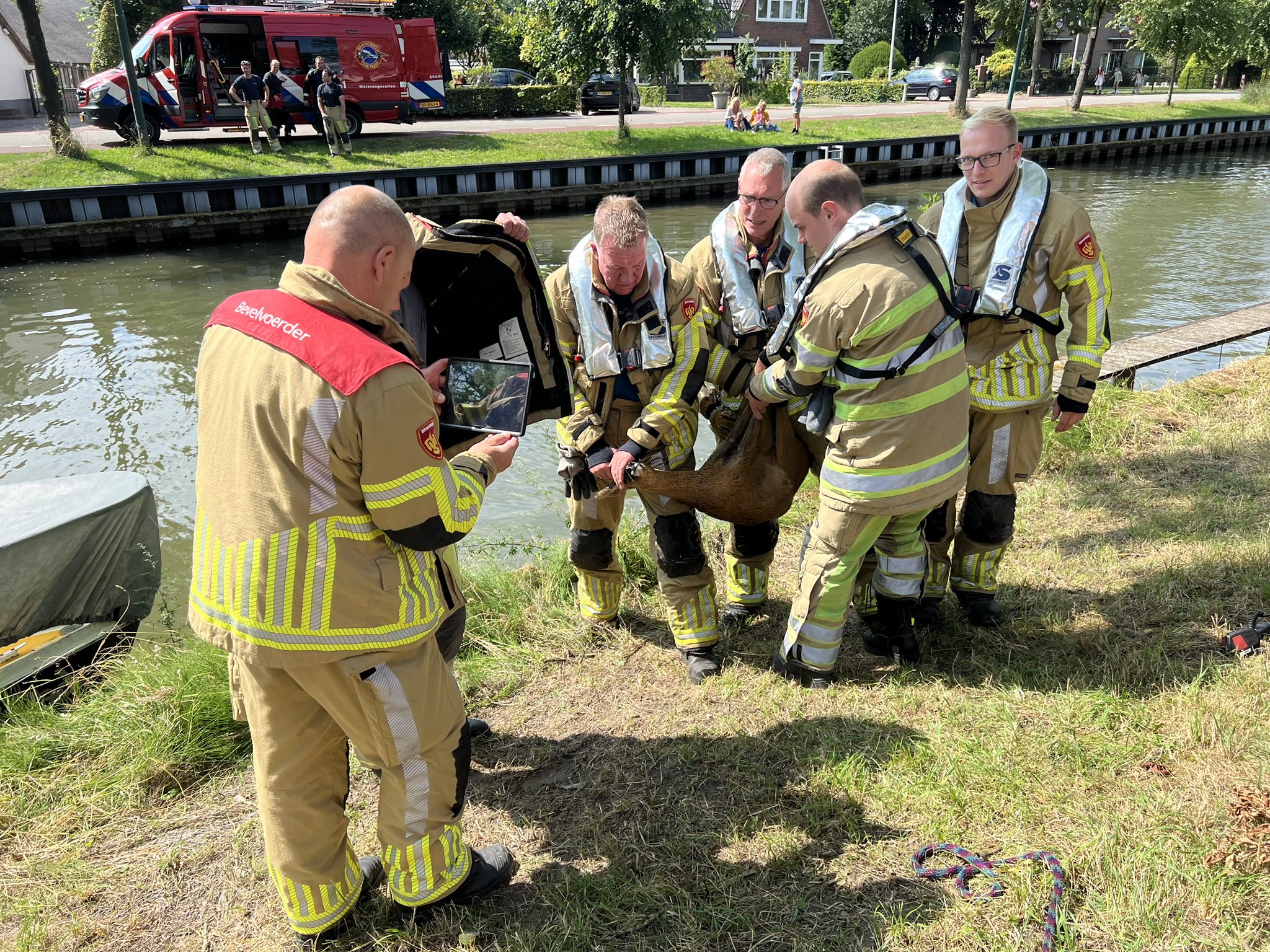 Brandweer haalt ree uit de Leidse Rijn in Utrecht